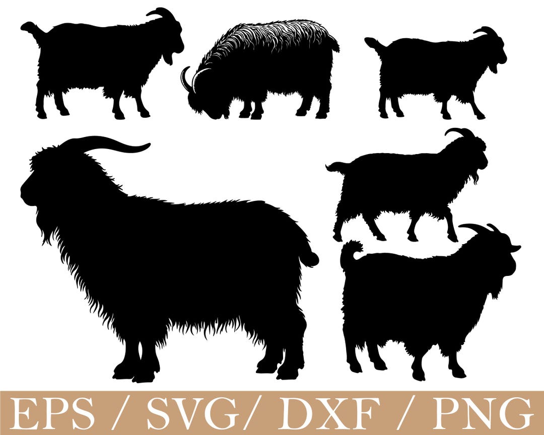 Angora Goat Silhouette, Fluffy Goat Breed SVG, DXF, PNG (digital ...