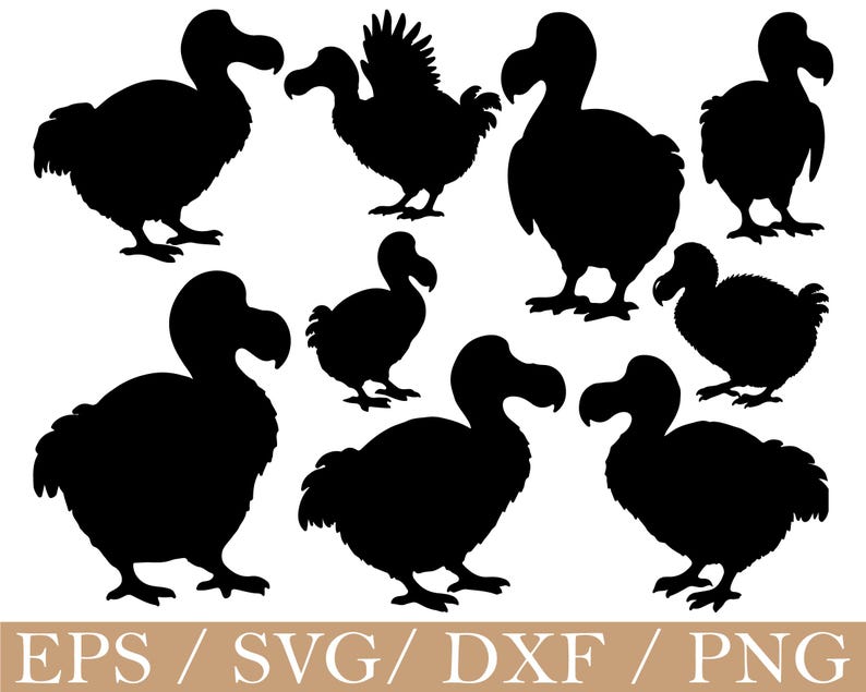 Dodo Svg, Dodo Silhouette, Dxf, Png - Etsy