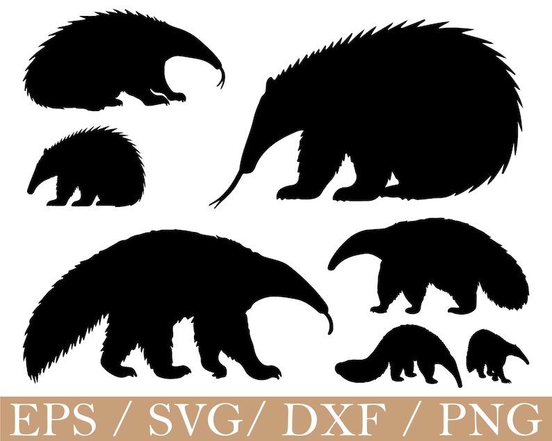 Anteater Svg, Anteater Silhouette, Dxf, Png - Etsy