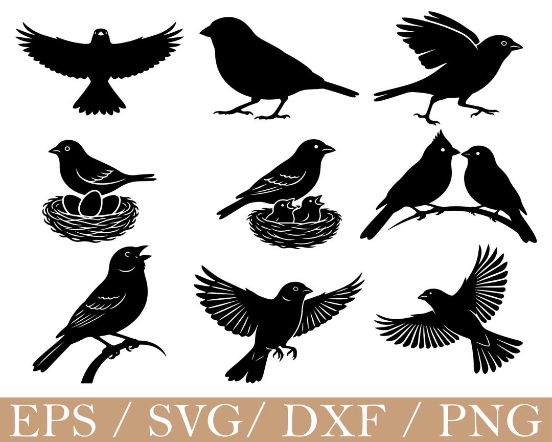 Finch Bird Svg, Finch Bird Silhouette, Dxf, Png - Etsy
