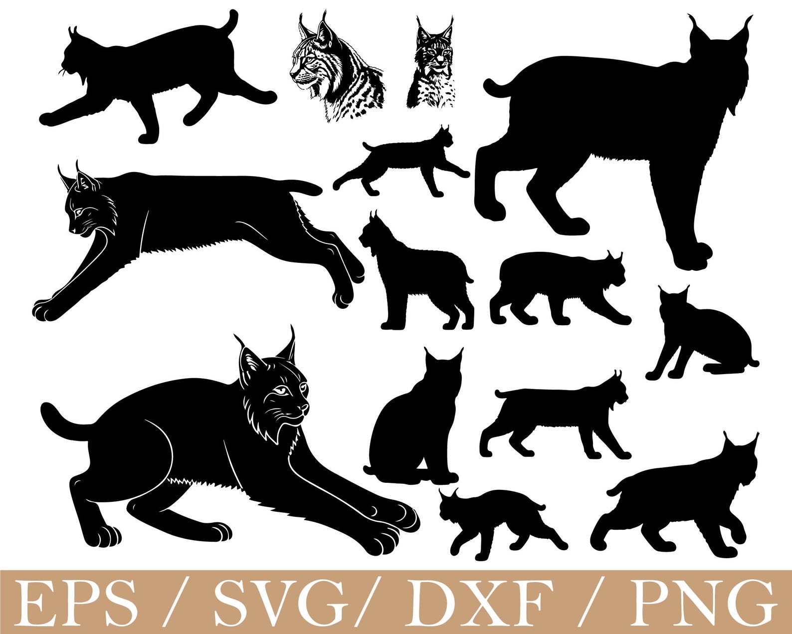 Lynx Svg, Lynx Silhouette, Dxf, Png - Etsy