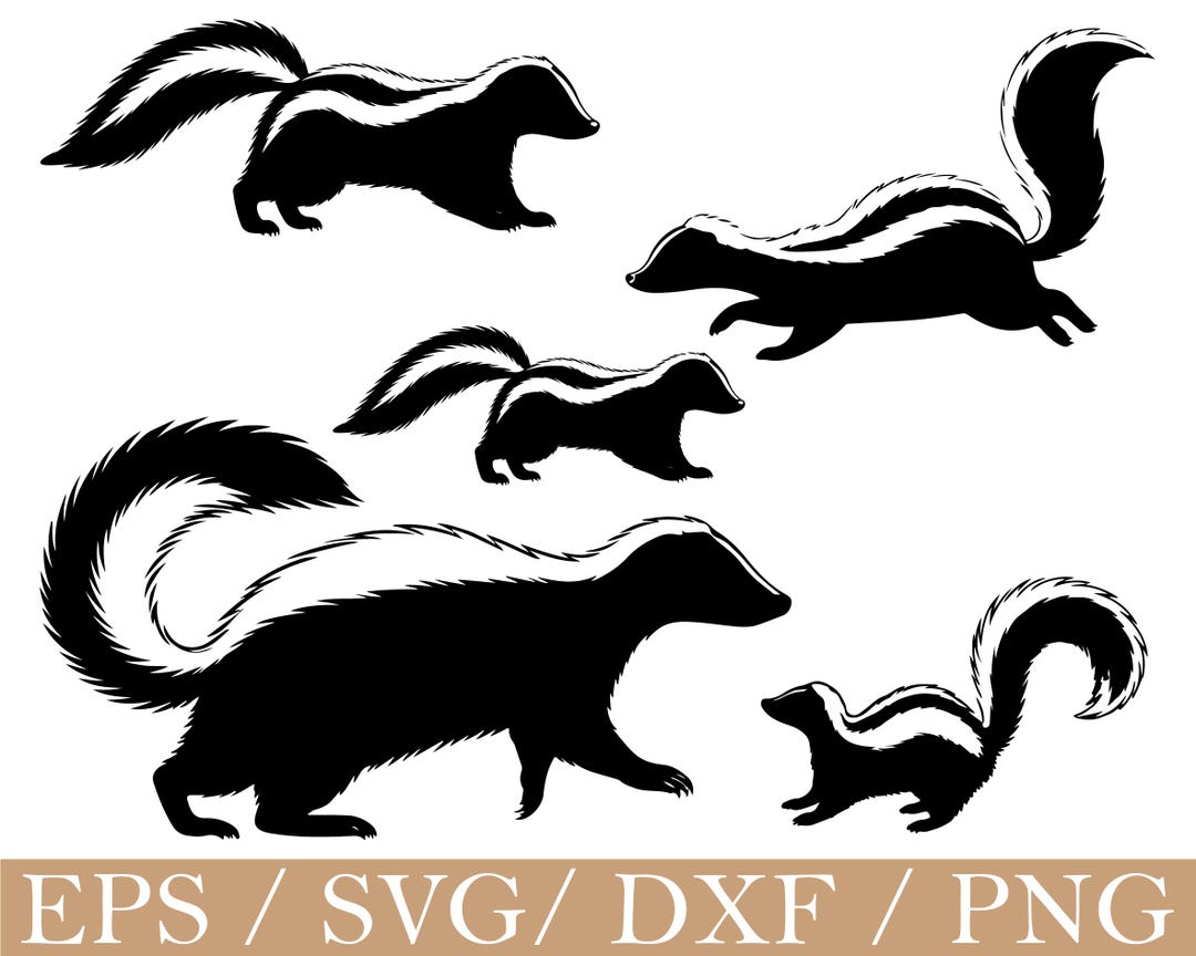 Skunk Svg, Skunk Silhouette, Dxf, Png - Etsy