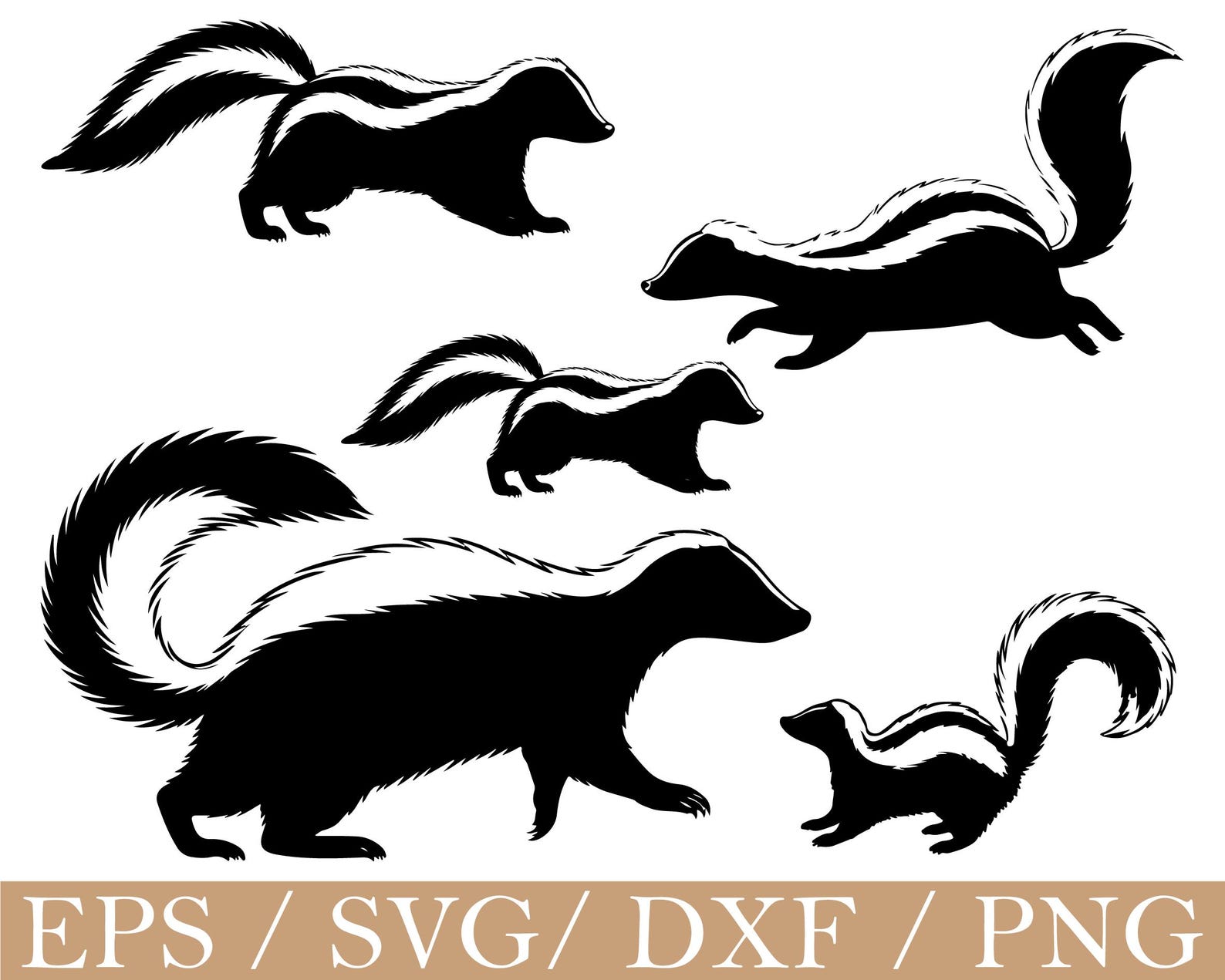 Skunk Svg, Skunk Silhouette, Dxf, Png - Etsy