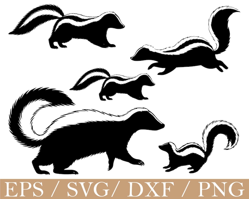 Skunk Svg, Skunk Silhouette, Dxf, Png - Etsy