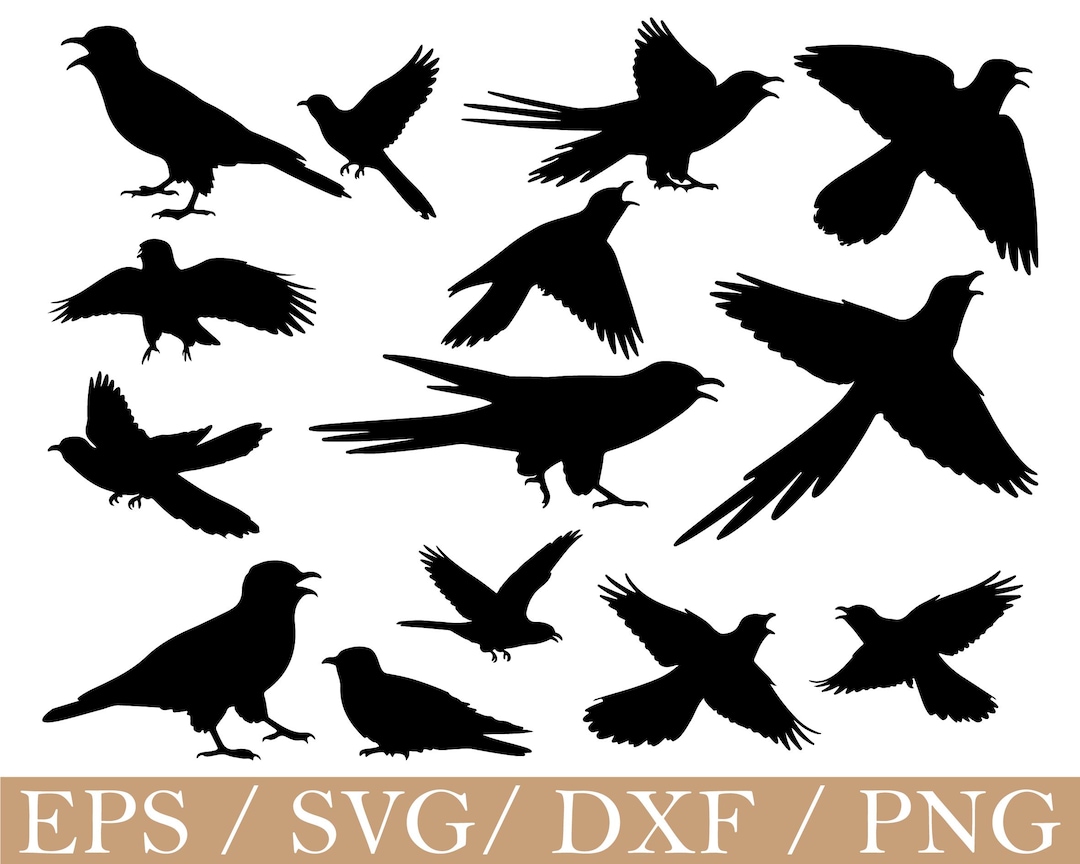 Cuckoo Bird Svg, Cuckoo Silhouette, Dxf, Png - Etsy