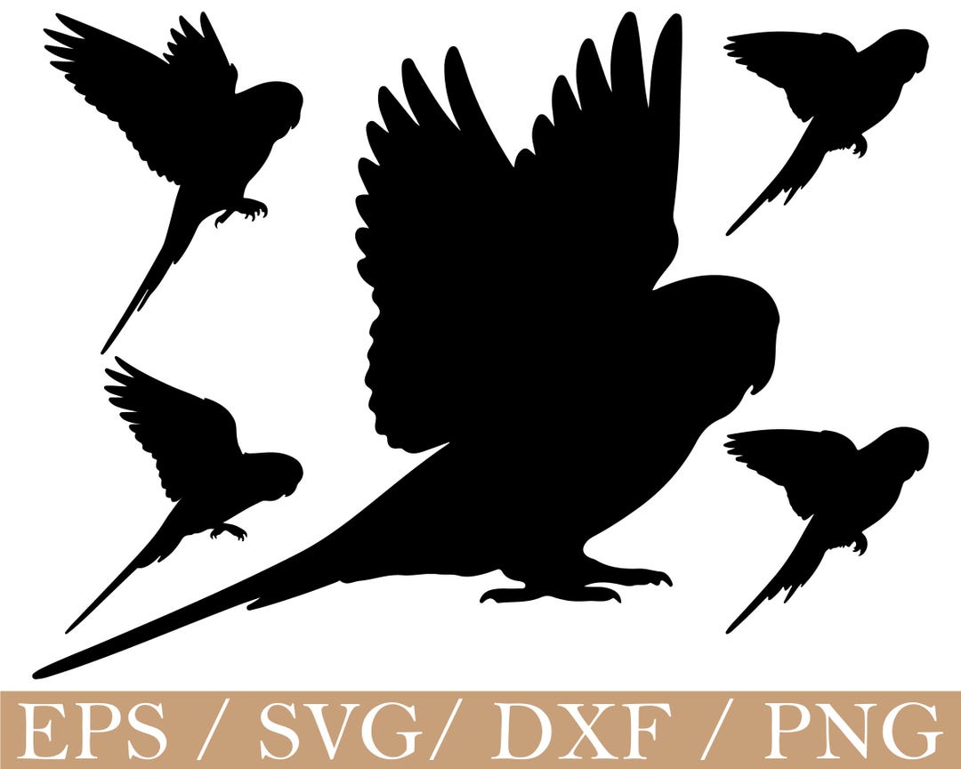 Budgie Bird Svg, Budgerigar Bird Silhouette, Dxf, Png - Etsy