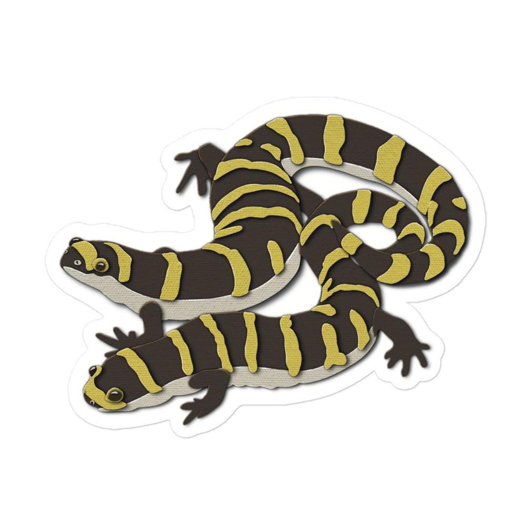 Ringed Salamander Sticker | 3D Illusion Layered Paper - Etsy