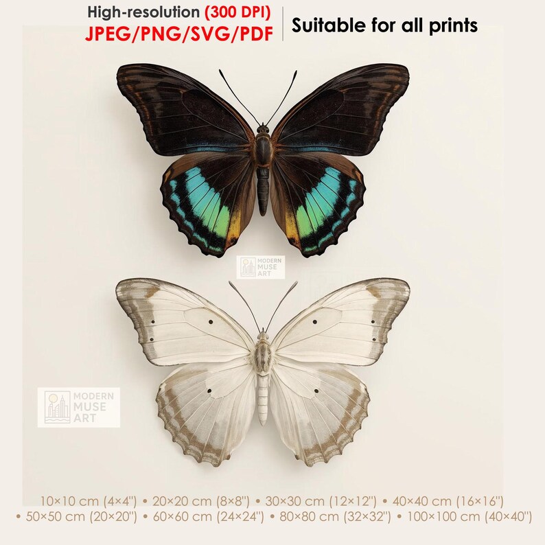 Elegant Butterfly Specimen Printable Wall Art and Butterfly Mockup ...