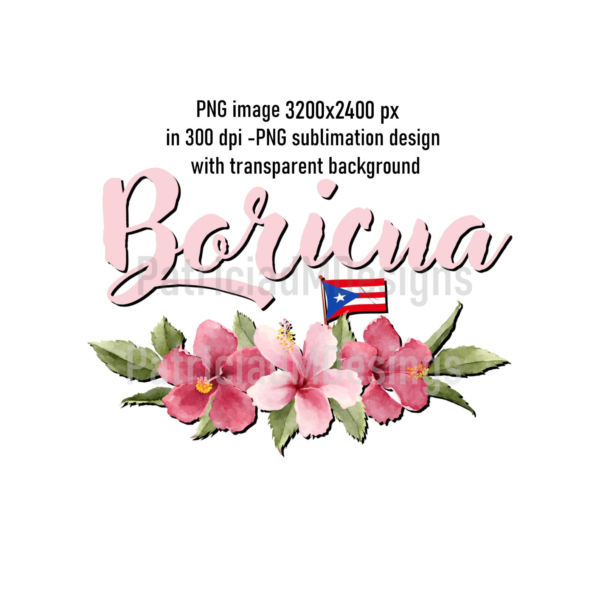 Boricua-puerto Rico PNG Image (3200x2400 Px) in 300 Dpi -PNG ...