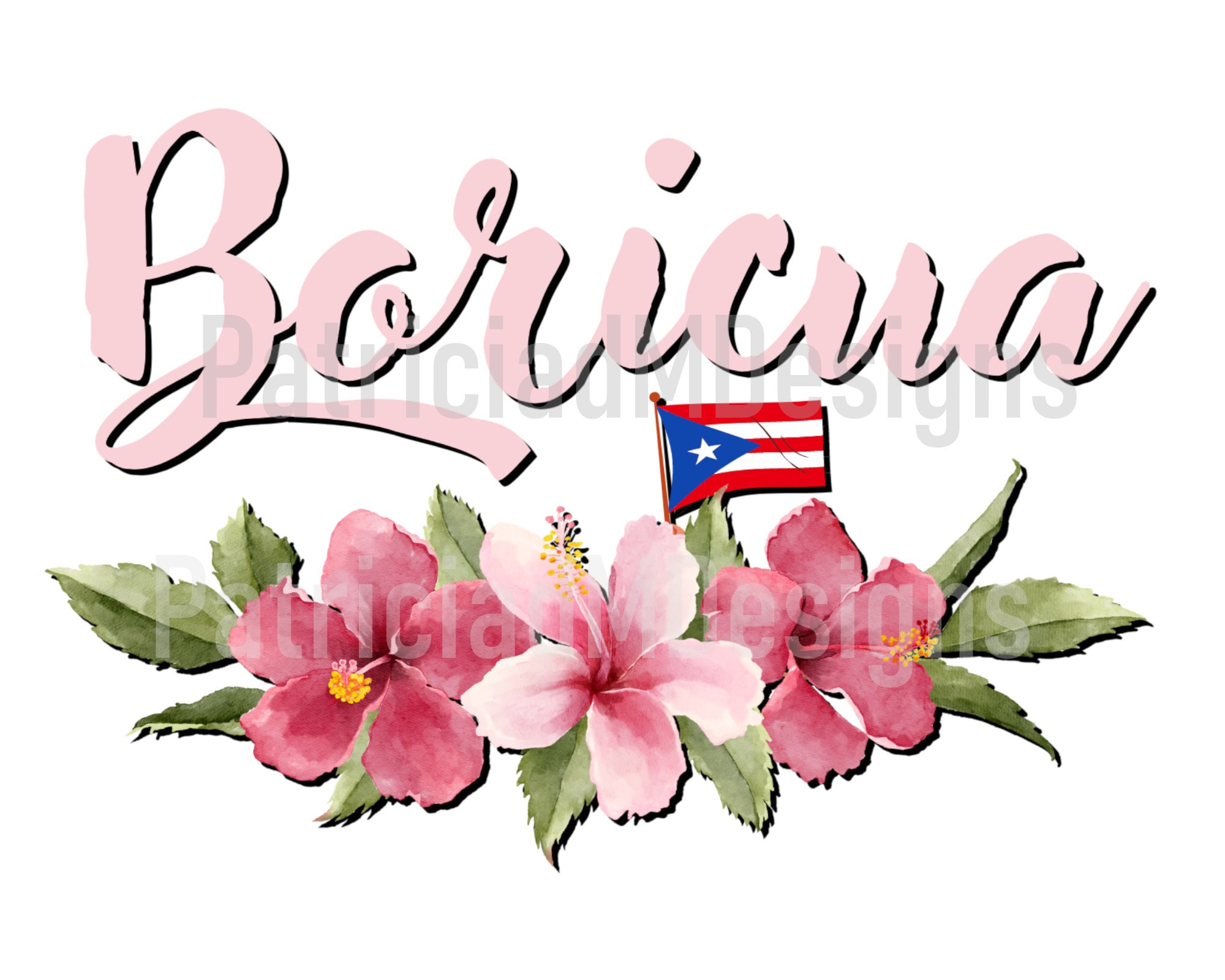 Boricua-puerto Rico PNG Image (3200x2400 Px) in 300 Dpi -PNG ...