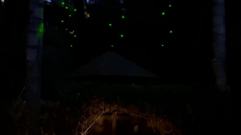 Solar Firefly Lights: Flying Garden Decor With Motion Effect - Etsy