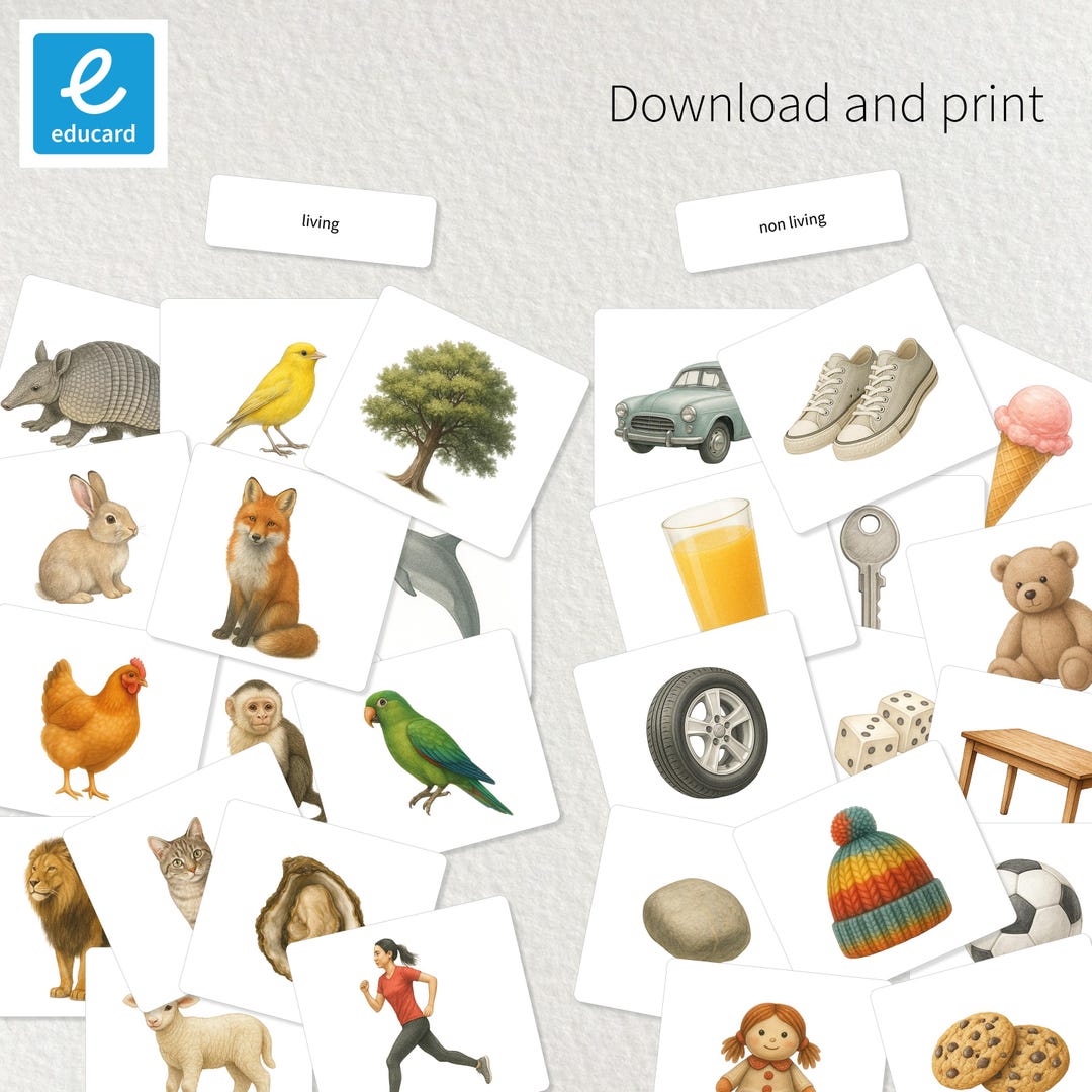 Living and Non-living Classification in English · Montessori ...