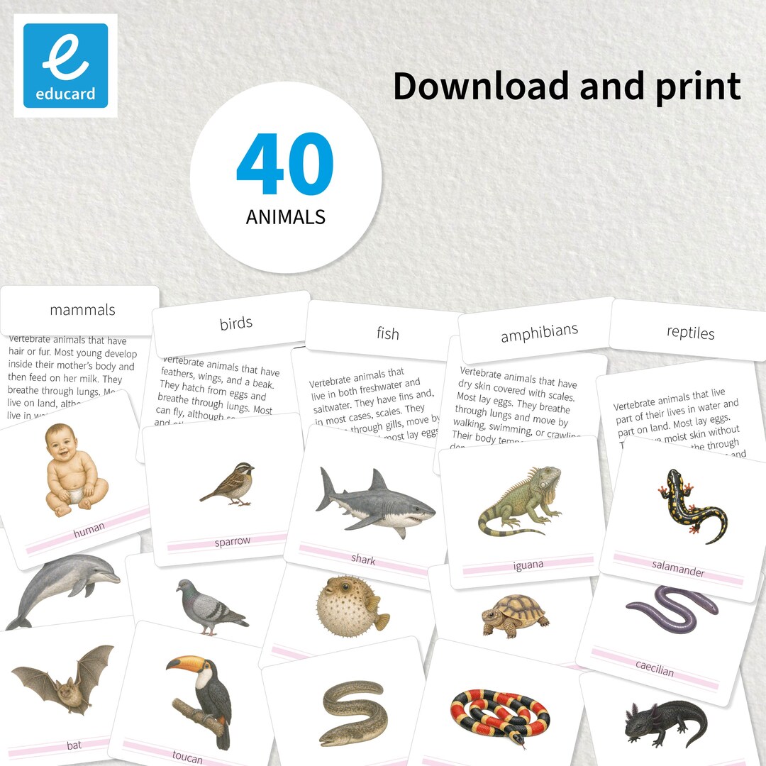 Vertebrate Classification: Mammals, Birds, Fish, Reptiles & Amphibians ...