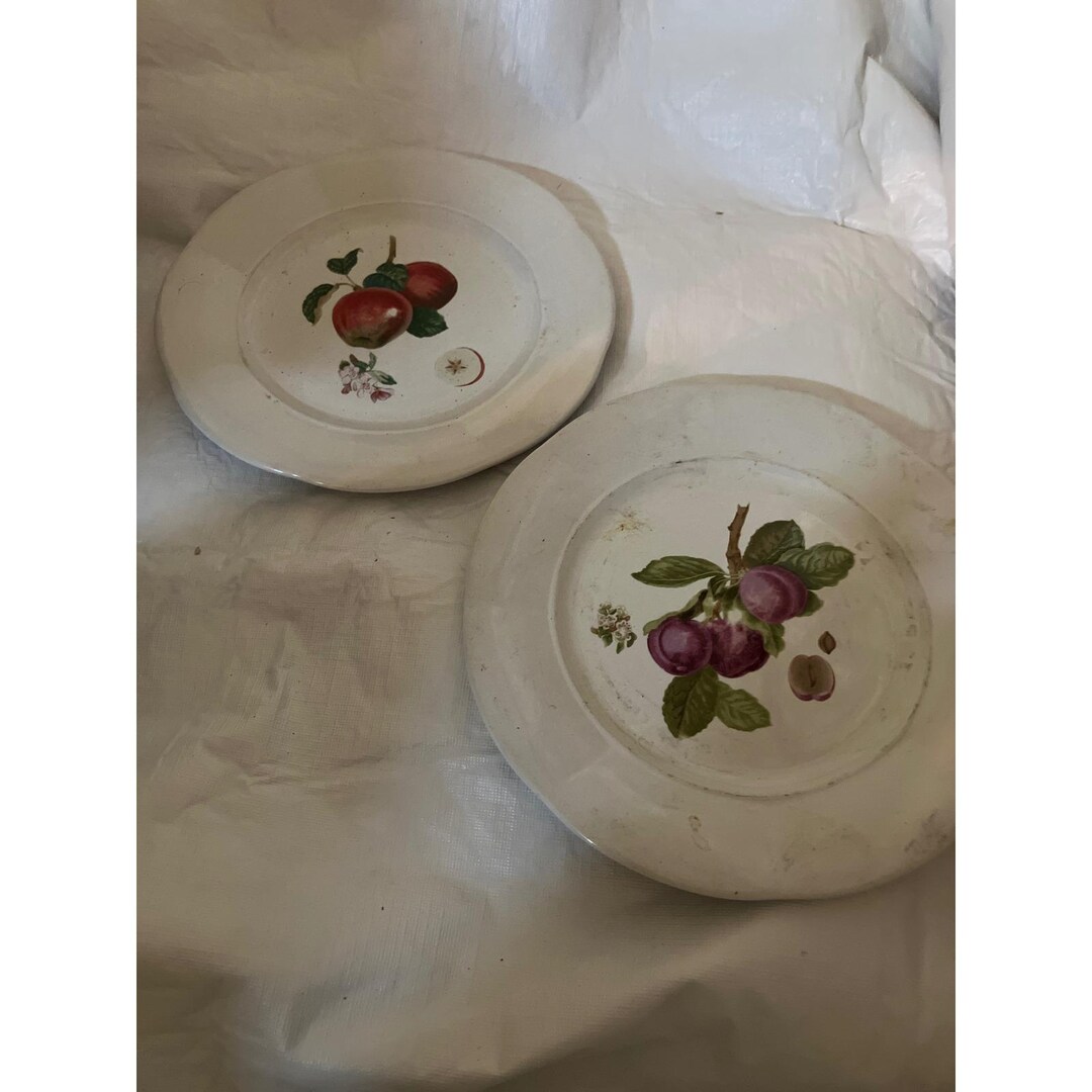 Gibson China Fruit Plates Set of 2 Apples and Plums Dishwasher ...