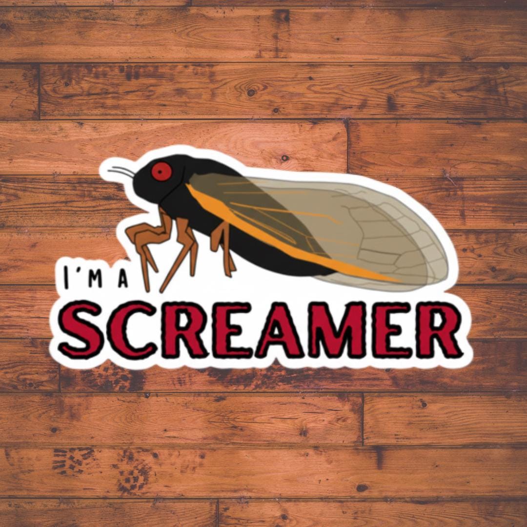 I'm a Screamer Cicada Sticker | Funny Meme Bug Decal - Etsy