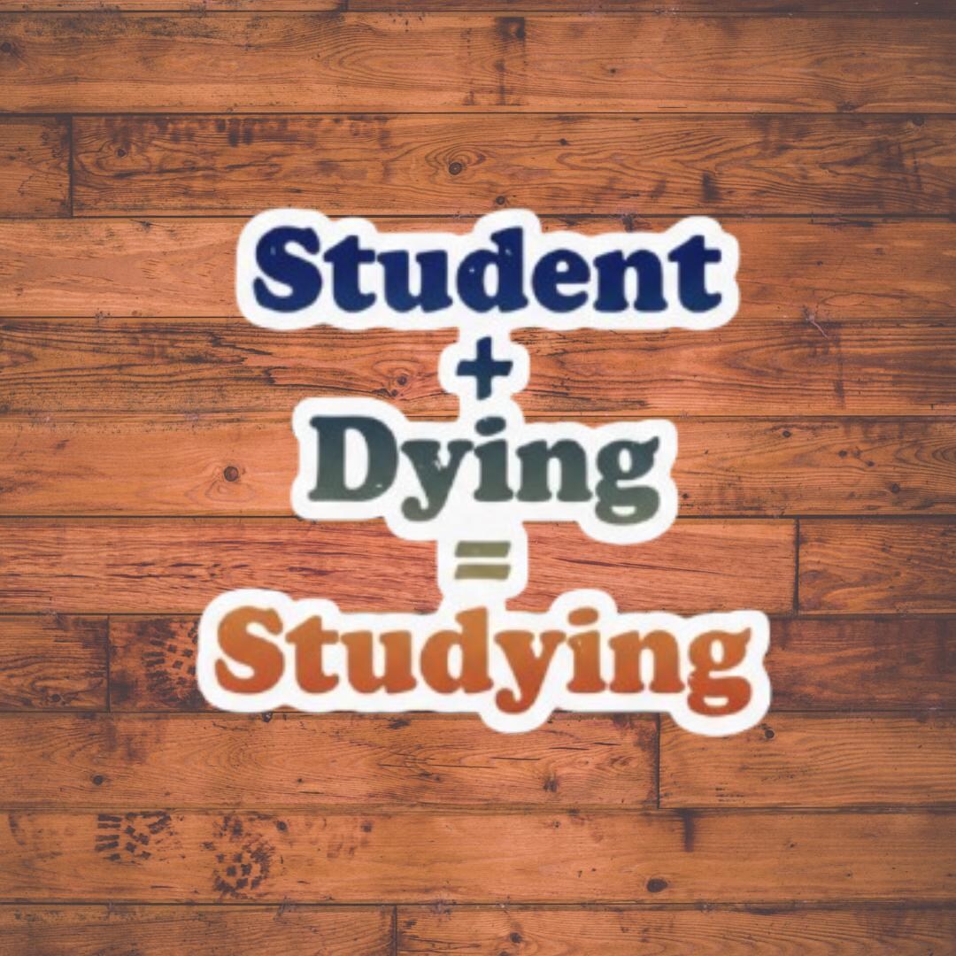 Student + Dying = Studying Vinyl Sticker, Funny Meme - Etsy