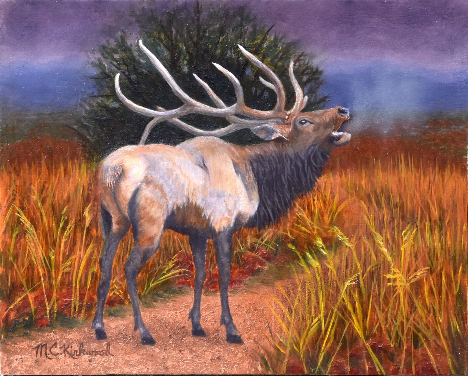 Bugling Elk Giclee Print on Canvas: 'storm Warning' Ltd Ed, Made in USA ...