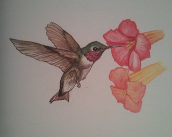 Hummingbird Pencil Drawing | Etsy