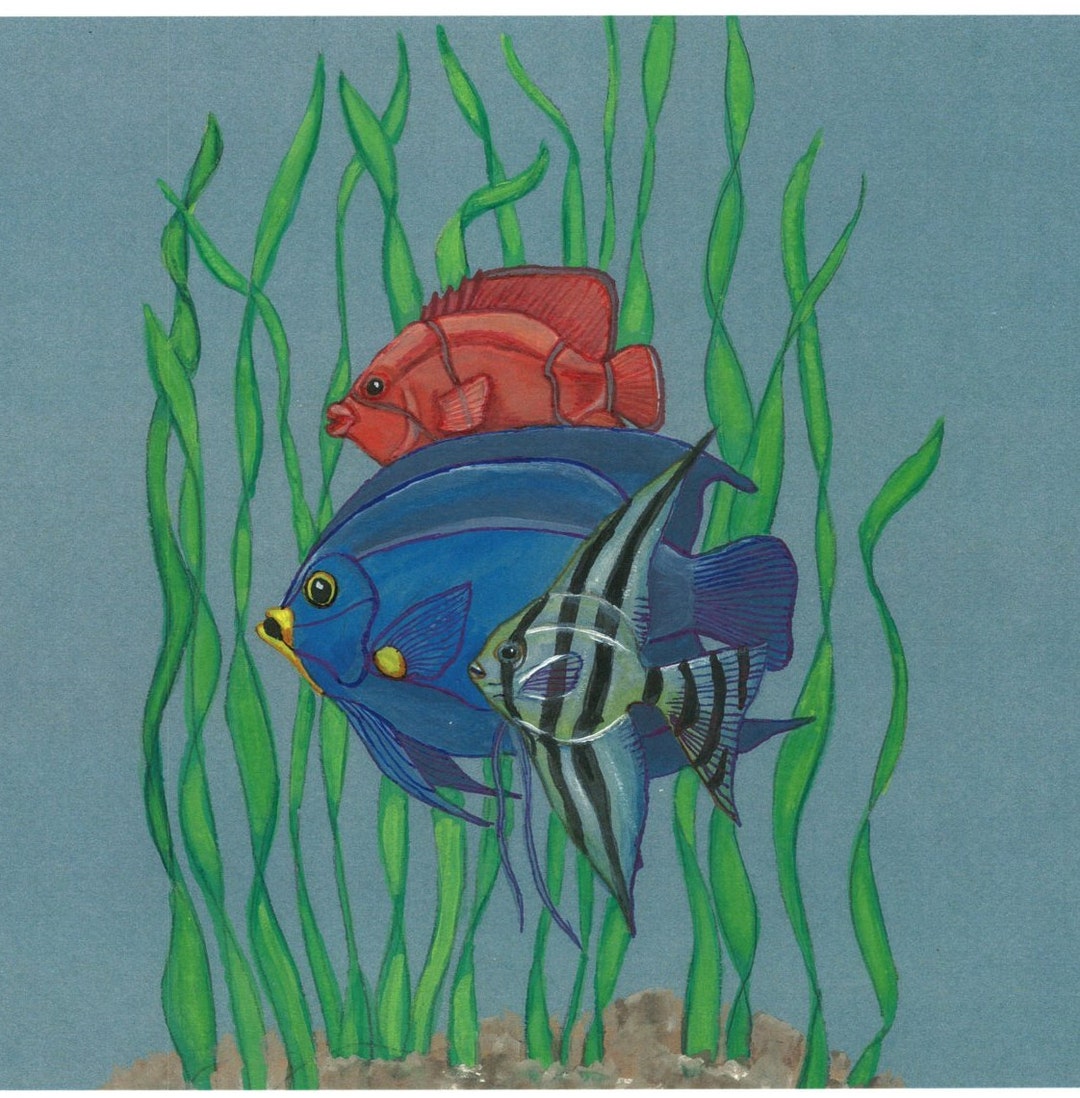 Fish Watercolor Painting Print Nature Painter - Etsy