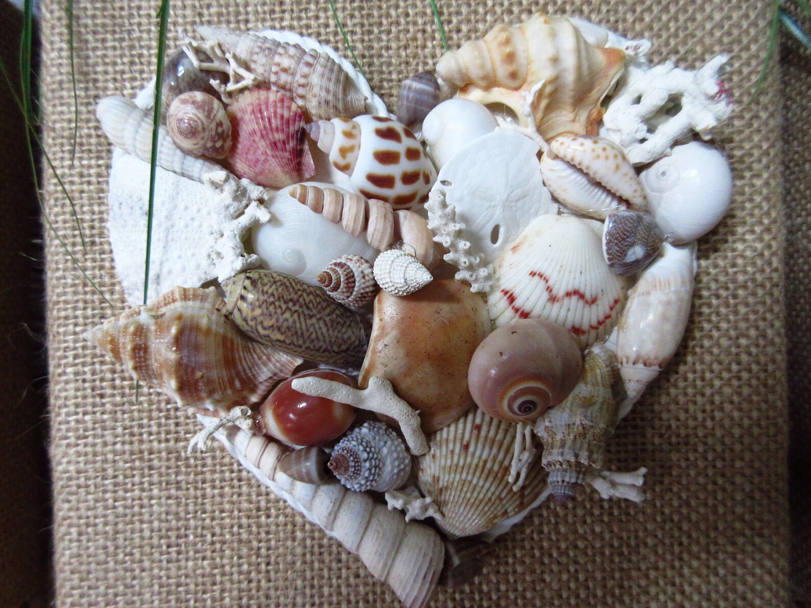 Love One Another Deeply Burlap Shell Heart Shell Wreath Beach - Etsy