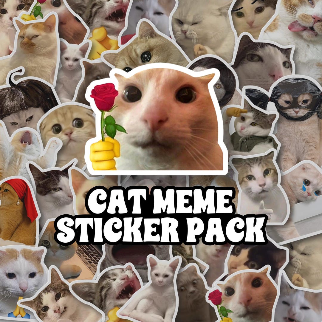 Funny Cat Meme Sticker Pack | Kitty Faces Vinyl Stickers | Waterproof ...