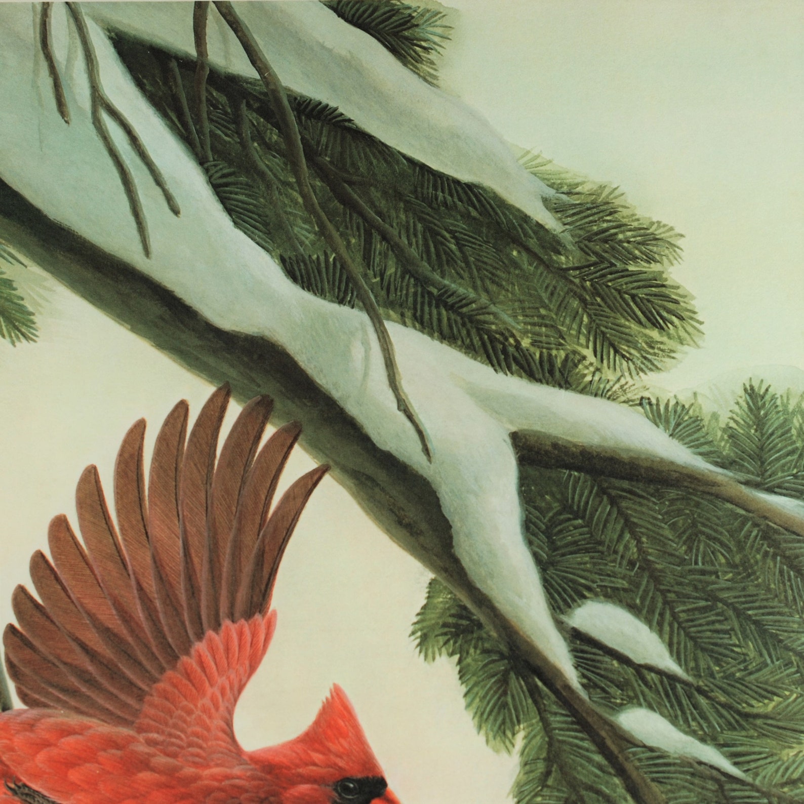 Vintage John Ruthven Signed and Numbered Framed Limited - Etsy