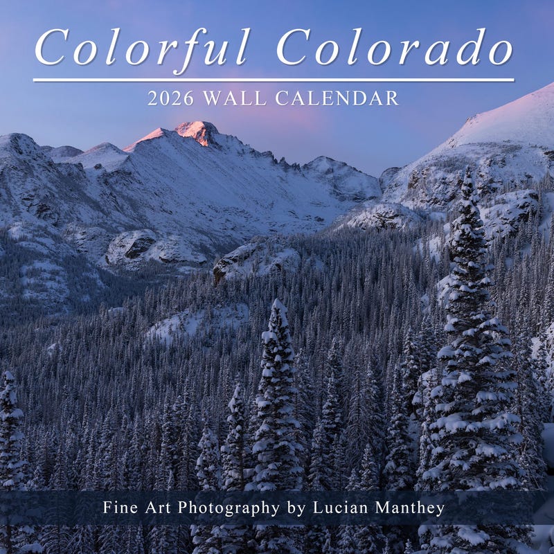 Book Lover Calendars 2026 - Etsy