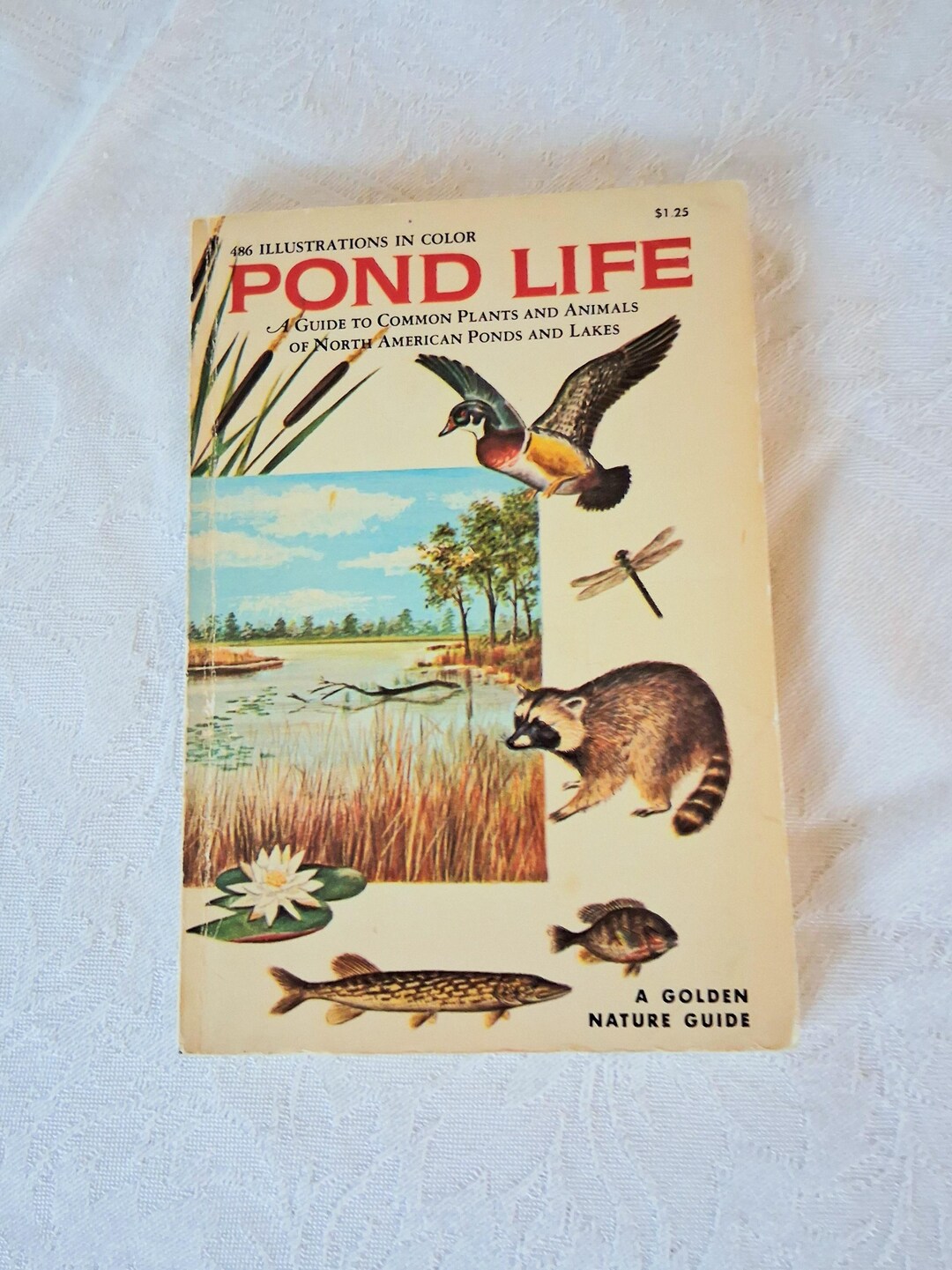1967 Pond Life Pocket Book, A Golden Nature Guide, North American Ponds ...