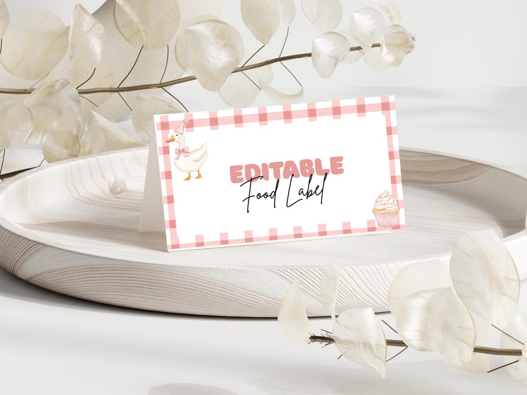 Editable Silly Goose Birthday Food Labels, Printable Template (foldable ...