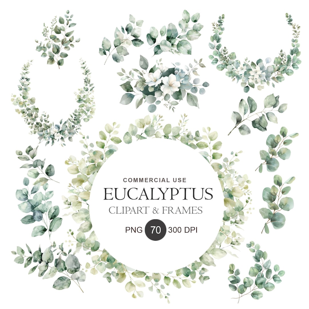 Watercolor Eucalyptus Clipart Bundle, Greenery Wreaths, Frames (PNG ...