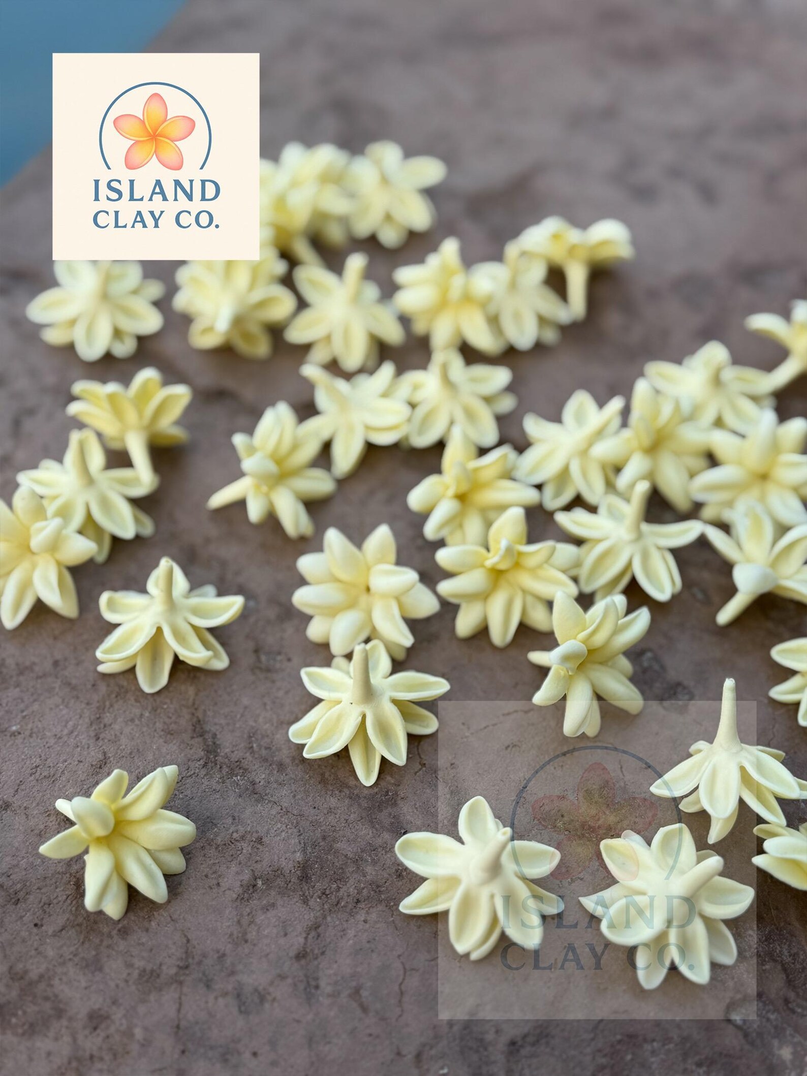 Pikake Jasmine Cream Large Size Clay Flowers for Jewelry Making ...