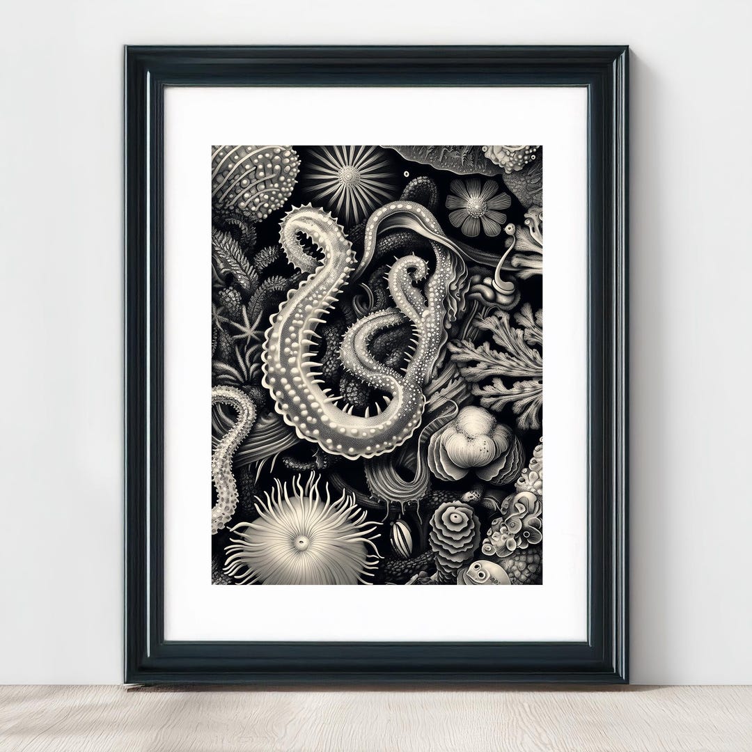 Naturalist Marine Digital Print | Zoological Illustration | Vintage ...