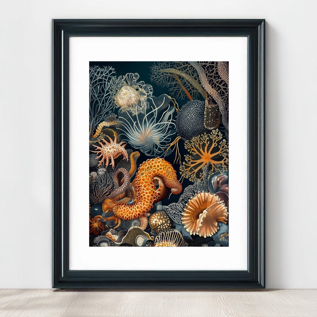 Naturalist Marine Digital Print | Zoological Illustration | Vintage ...