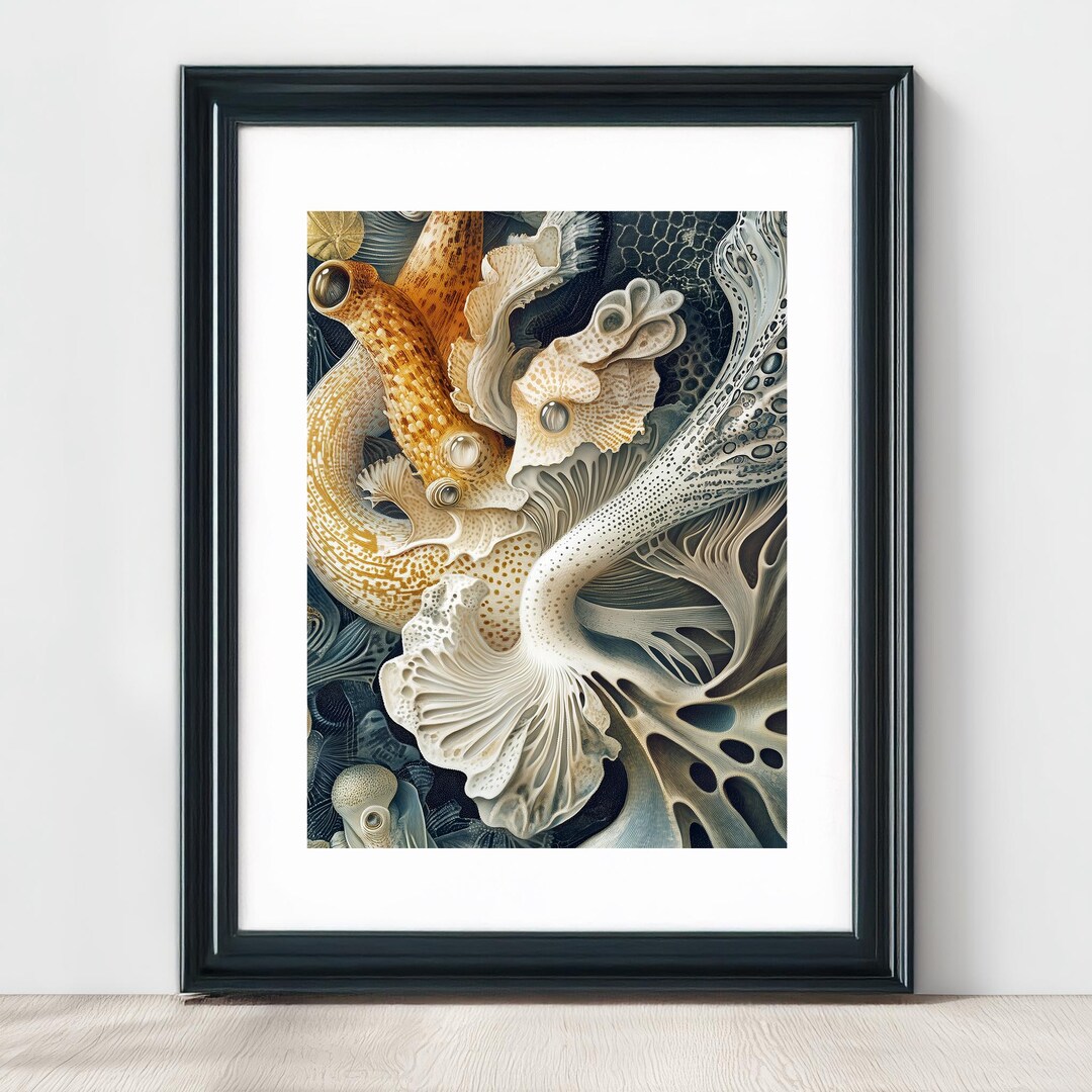 Naturalist Marine Digital Print | Zoological Illustration | Vintage ...
