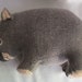 Toy Wombat - KNITTING PATTERN – Pdf File by Automatic Download. - Etsy