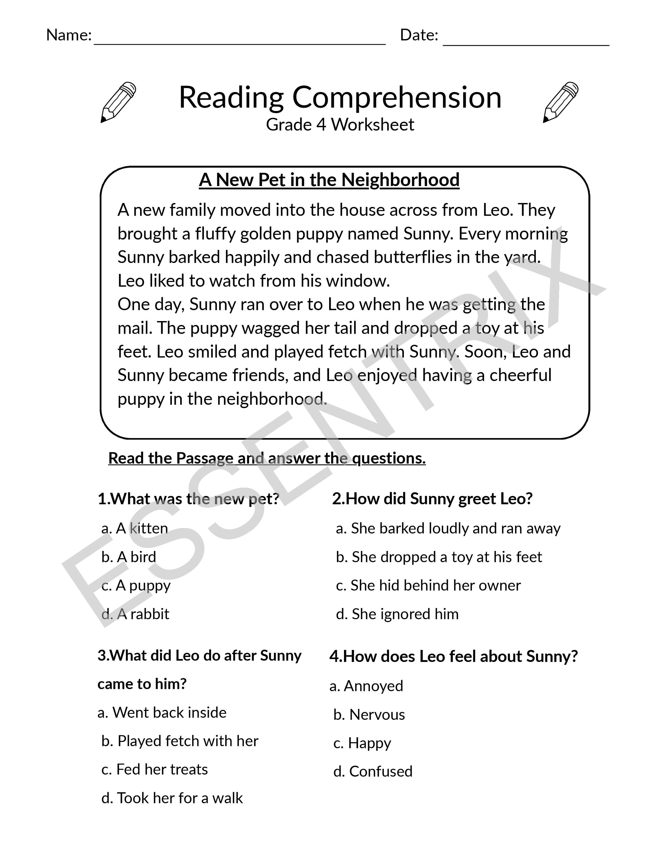 4th Grade Reading Comprehension Worksheets With Questions - Etsy
