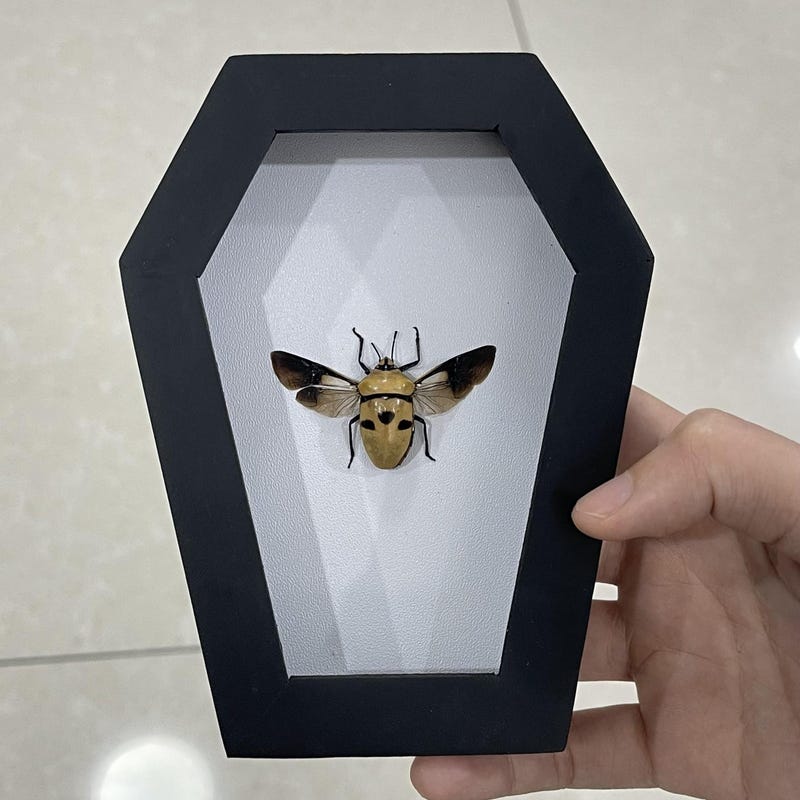 Coffin Shadow Frame - Etsy