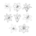 Lily Flower Line Art Embroidery Design, Outline Sketch Flower Machine ...