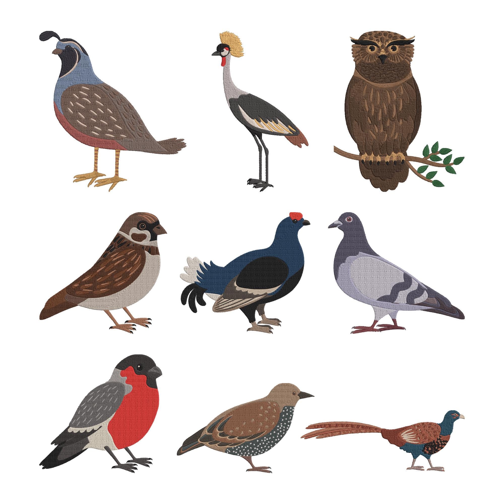 Bird Embroidery Design, Woodland Wild Flying Bird Machine Embroidery ...