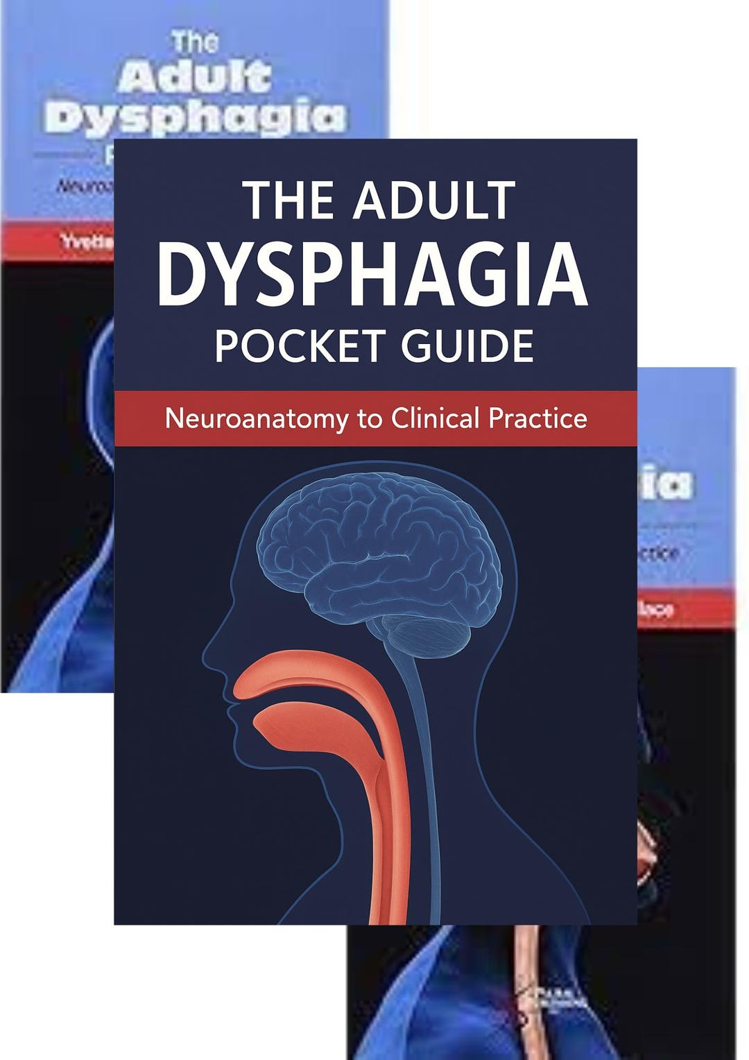 The Adult Dysphagia Pocket Guide Neuroanatomy to Clinical Practice - Etsy