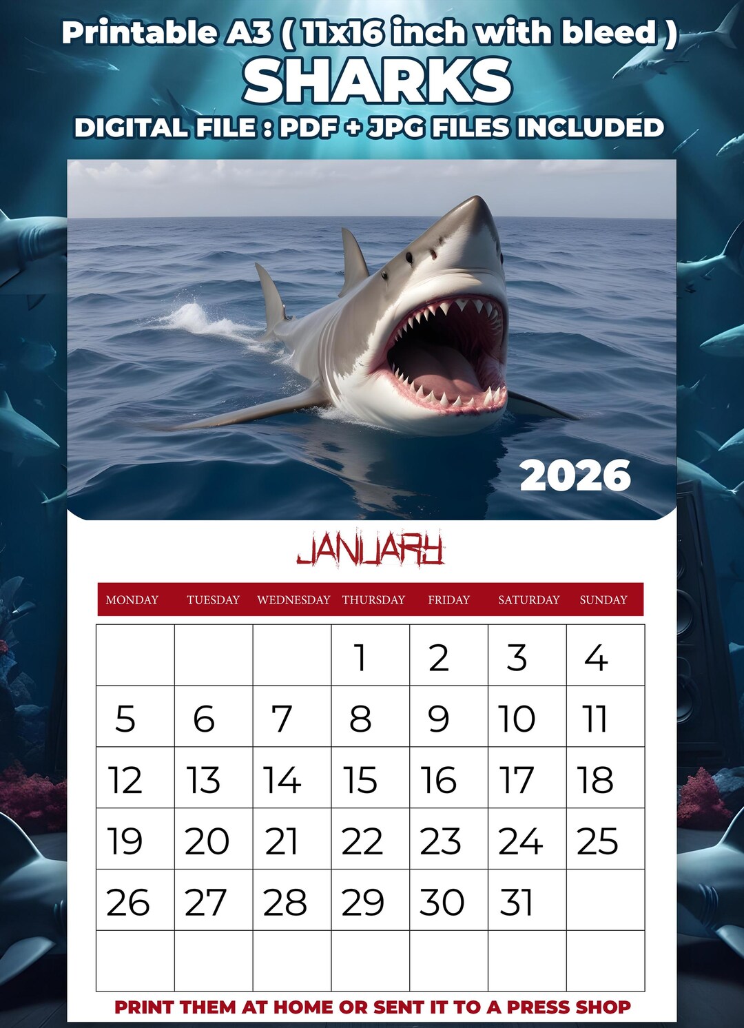 Calendar 2026, Shark Wall Calendar, Ocean Theme Printable Calendar ...