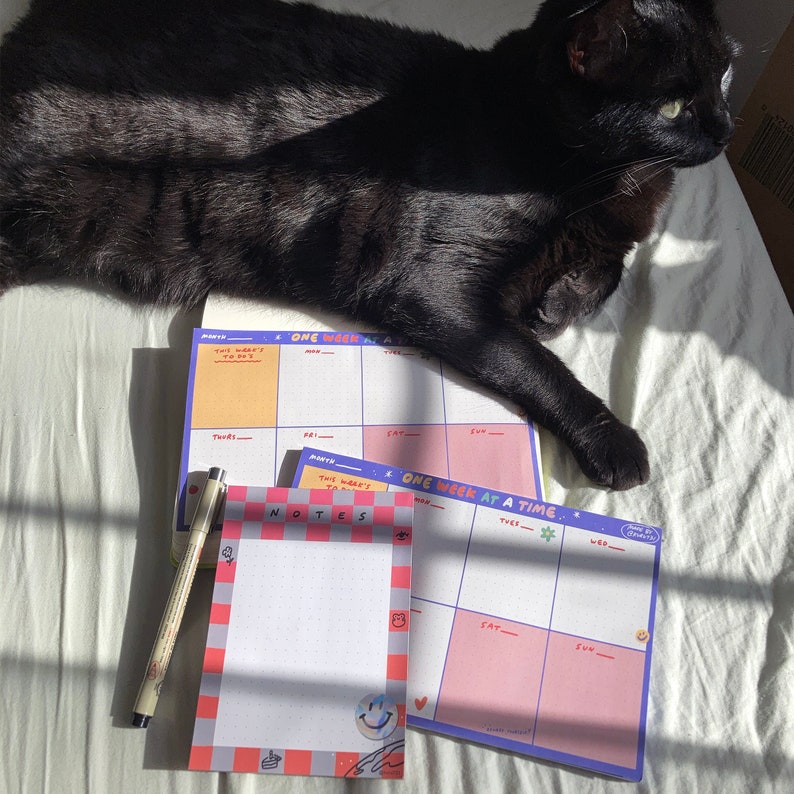 One Week at A Time Weekly Planner | Etsy