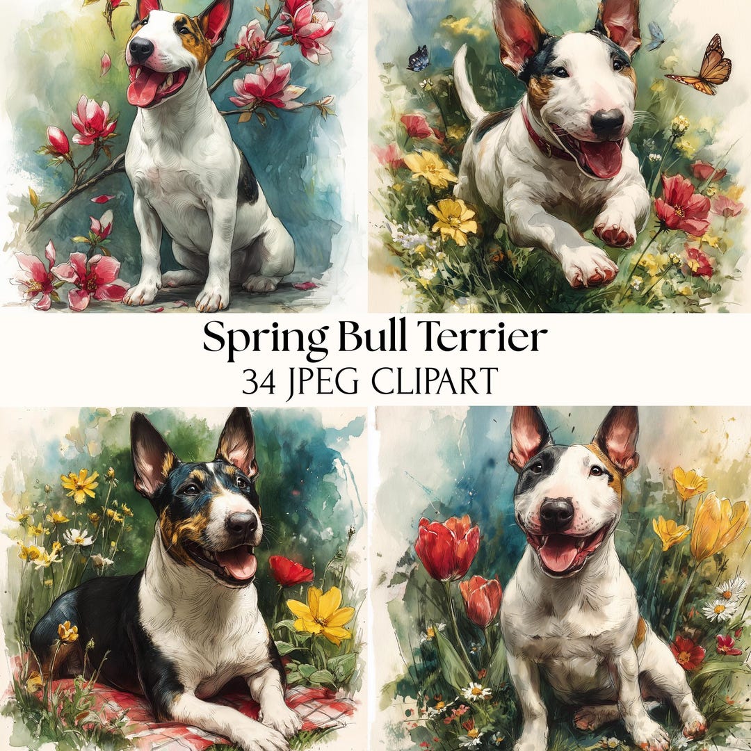34 Spring Bull Terrier - Watercolor Digital Illustration JPEG Bundle ...