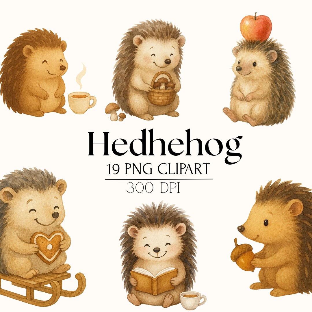 Watercolor Hedgehog Clipart PNG Bundle | Cute Cozy Woodland Animals ...