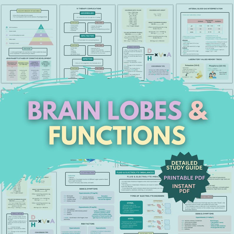 Brain Lobes & Functions Study Notes | Medical School | Nurse | Doctor ...