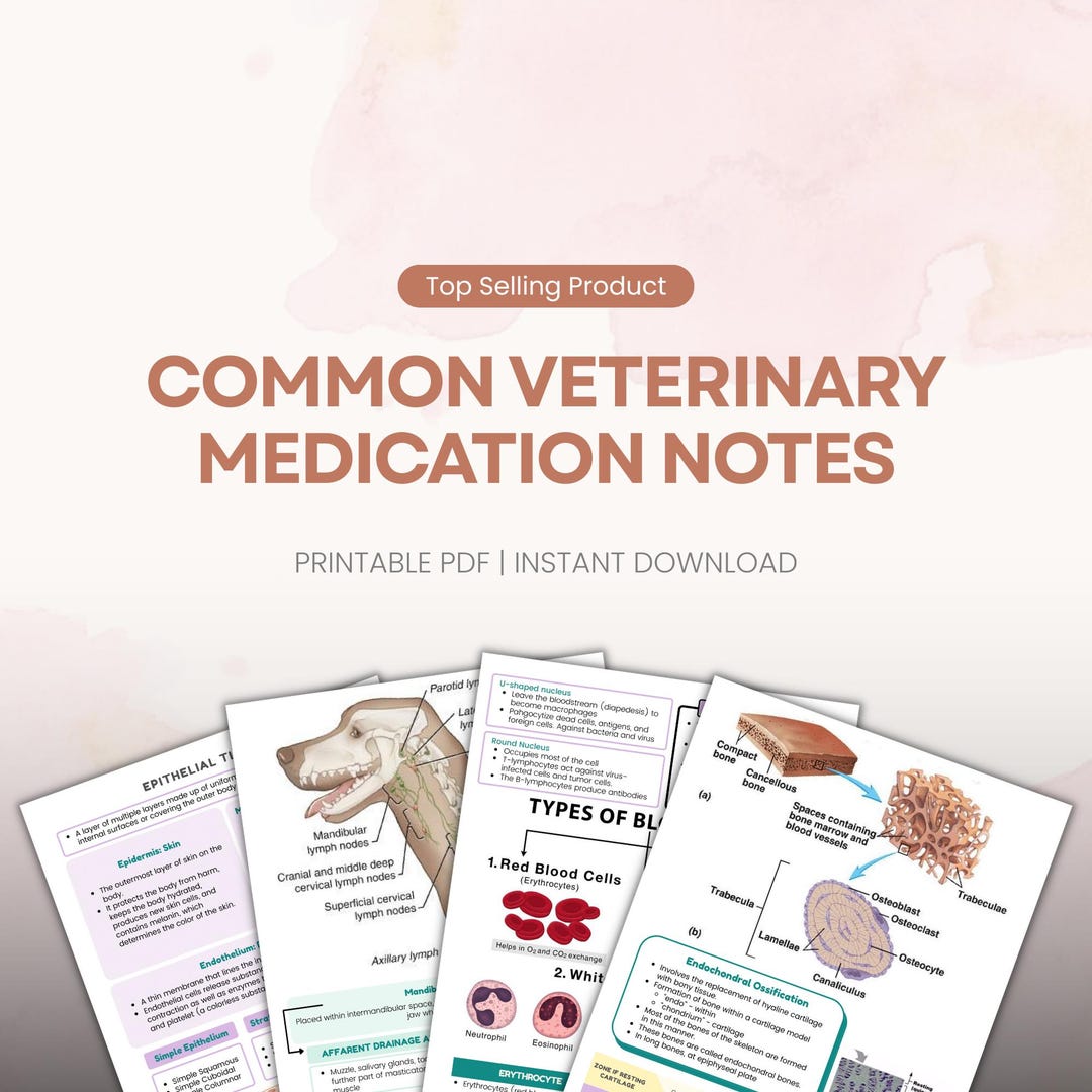 Common Veterinary Medication Notes, Veterinary Med Lessons, Study Guide ...