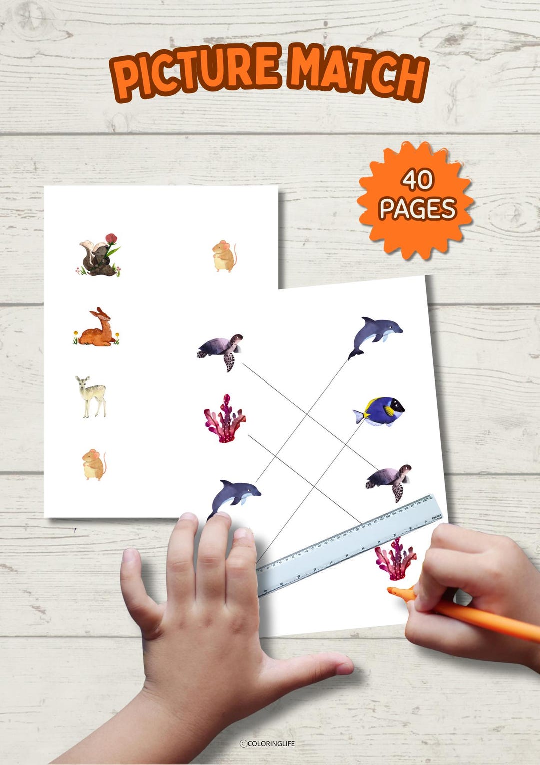 Matching Games for Children, Matching Games for Kindergarten ...