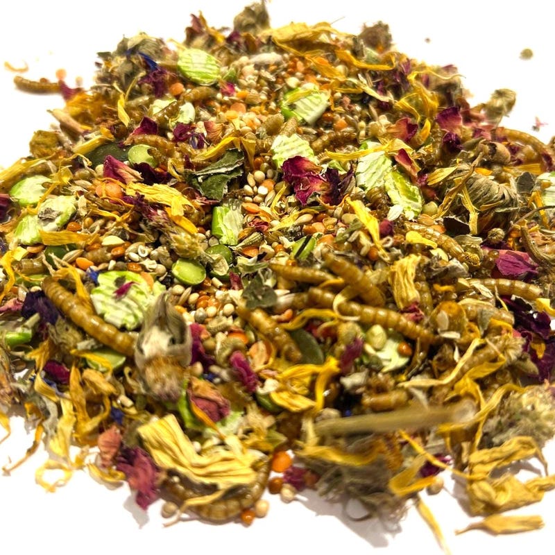 Food Mix Dwarf Hamster - Etsy UK