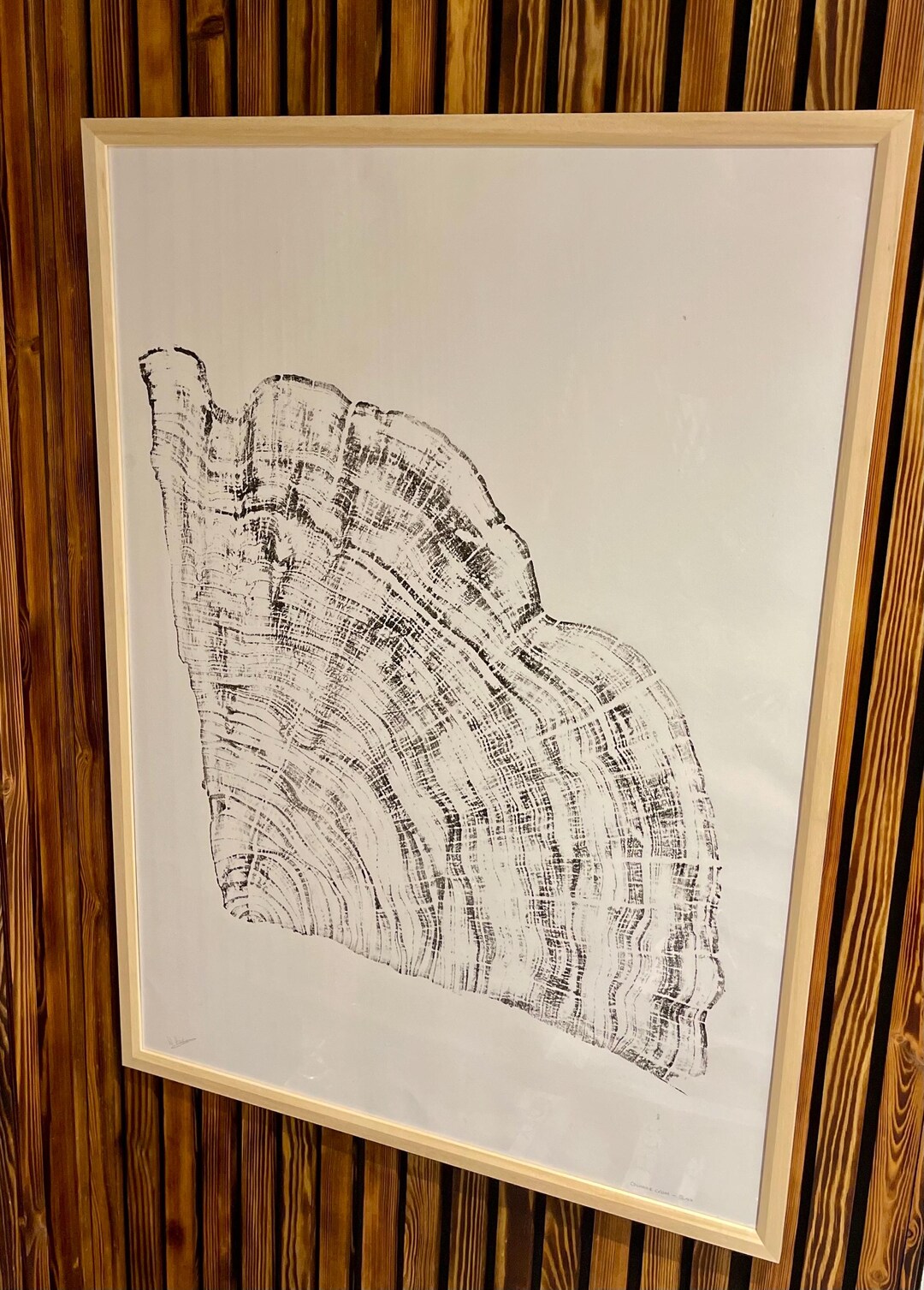 Framed Blue Atlas Cedar Log Print 60cm X 84cm - Etsy