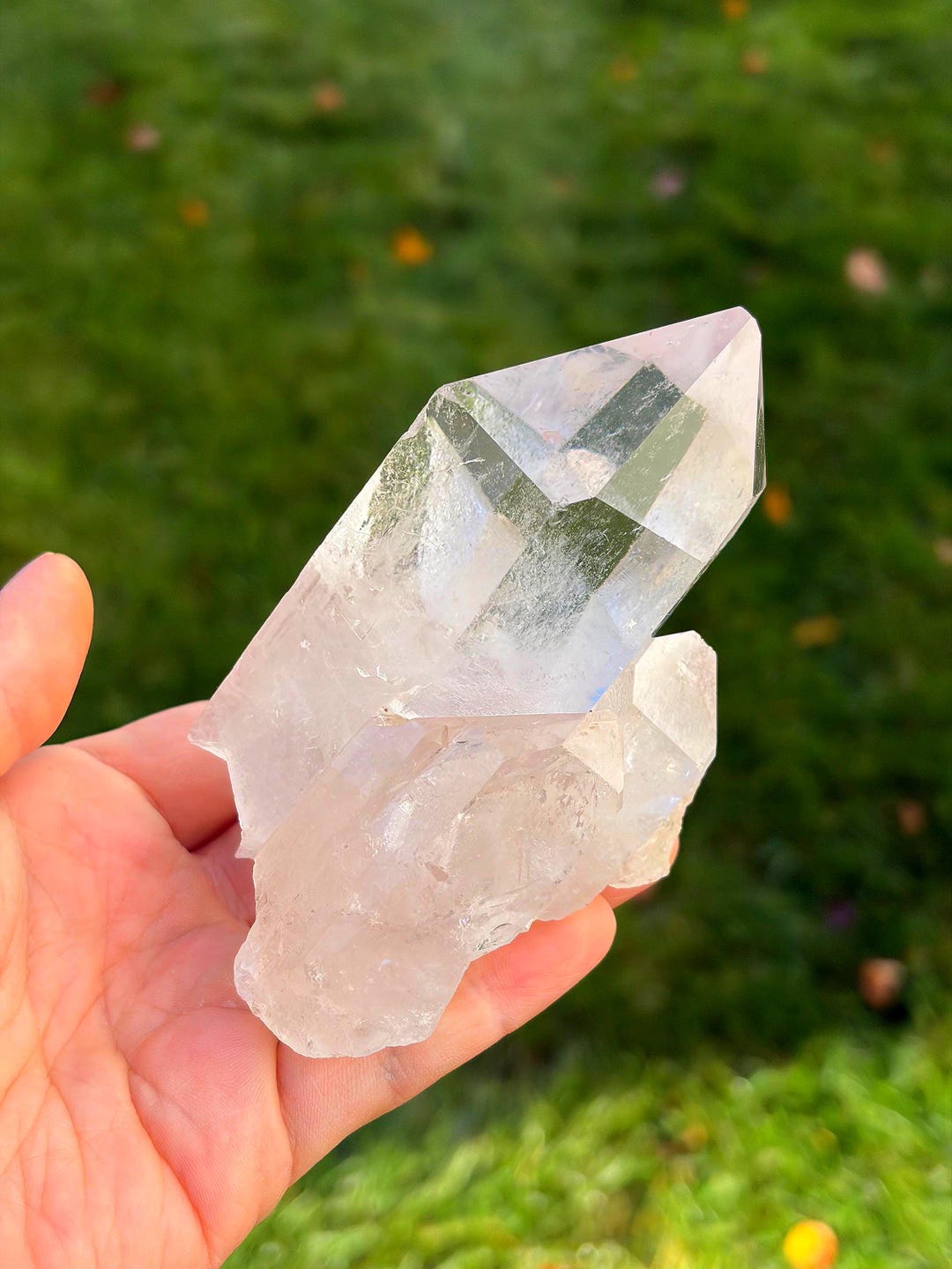 Ultra-rare 12.7oz Lemurian Cathedral Quartz “lightbrary” – Pristine 6 ...